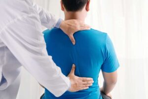 The Anatomy of the Spine and Its Role in Movement - Back In Motion Group